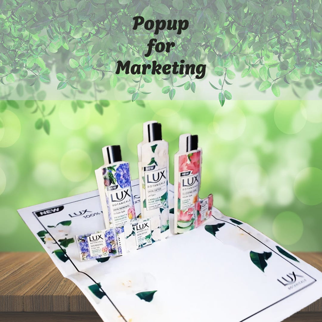 Custom Product Demo Kits | Innovative Presentation Kits by Designarium